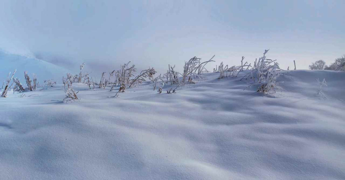 Snow Bundle Sound Effects Library - Silverplatter Audio